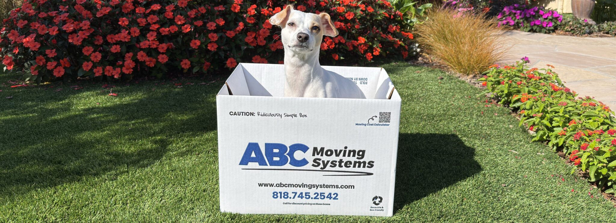 Pasadena Movers 🚚 Pasadena Moving Company